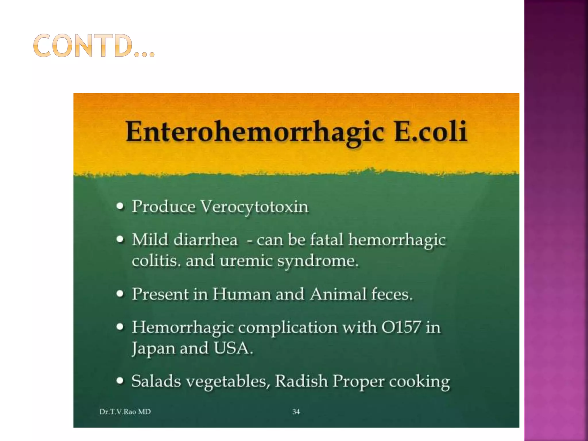 Escherichia coli | PPTX