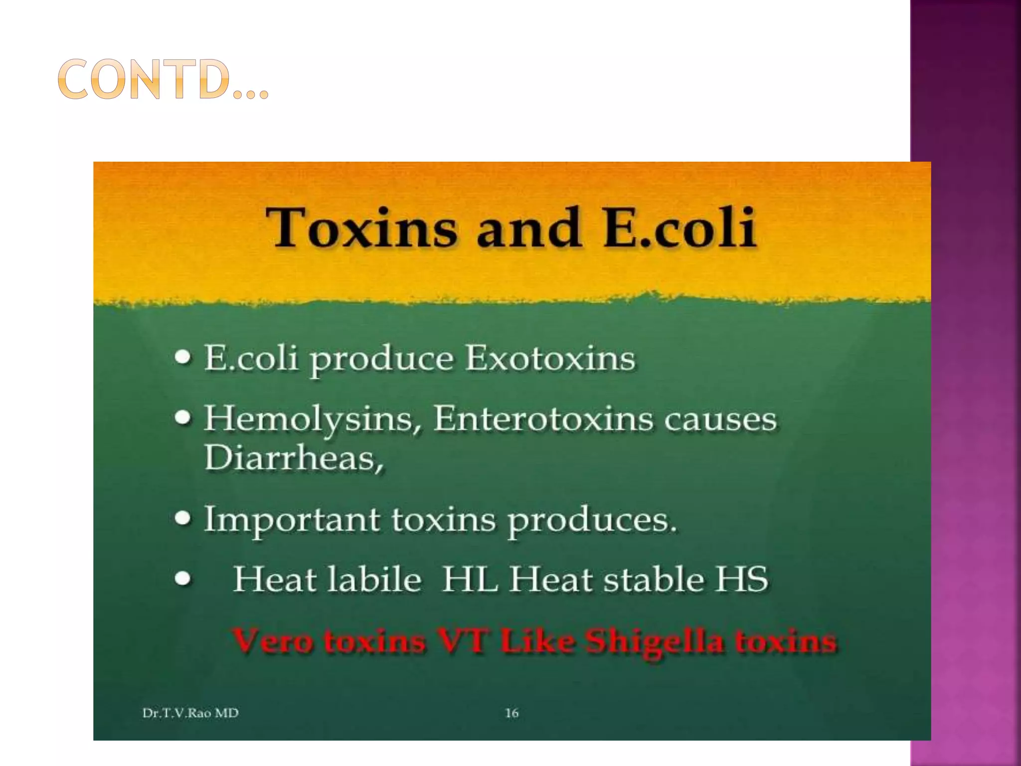 Escherichia coli | PPTX