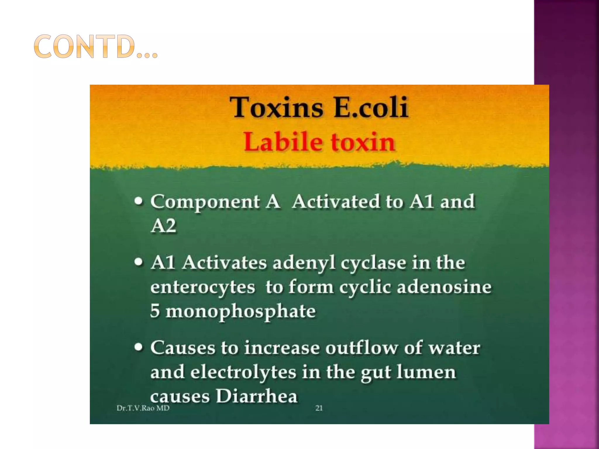 Escherichia coli | PPTX