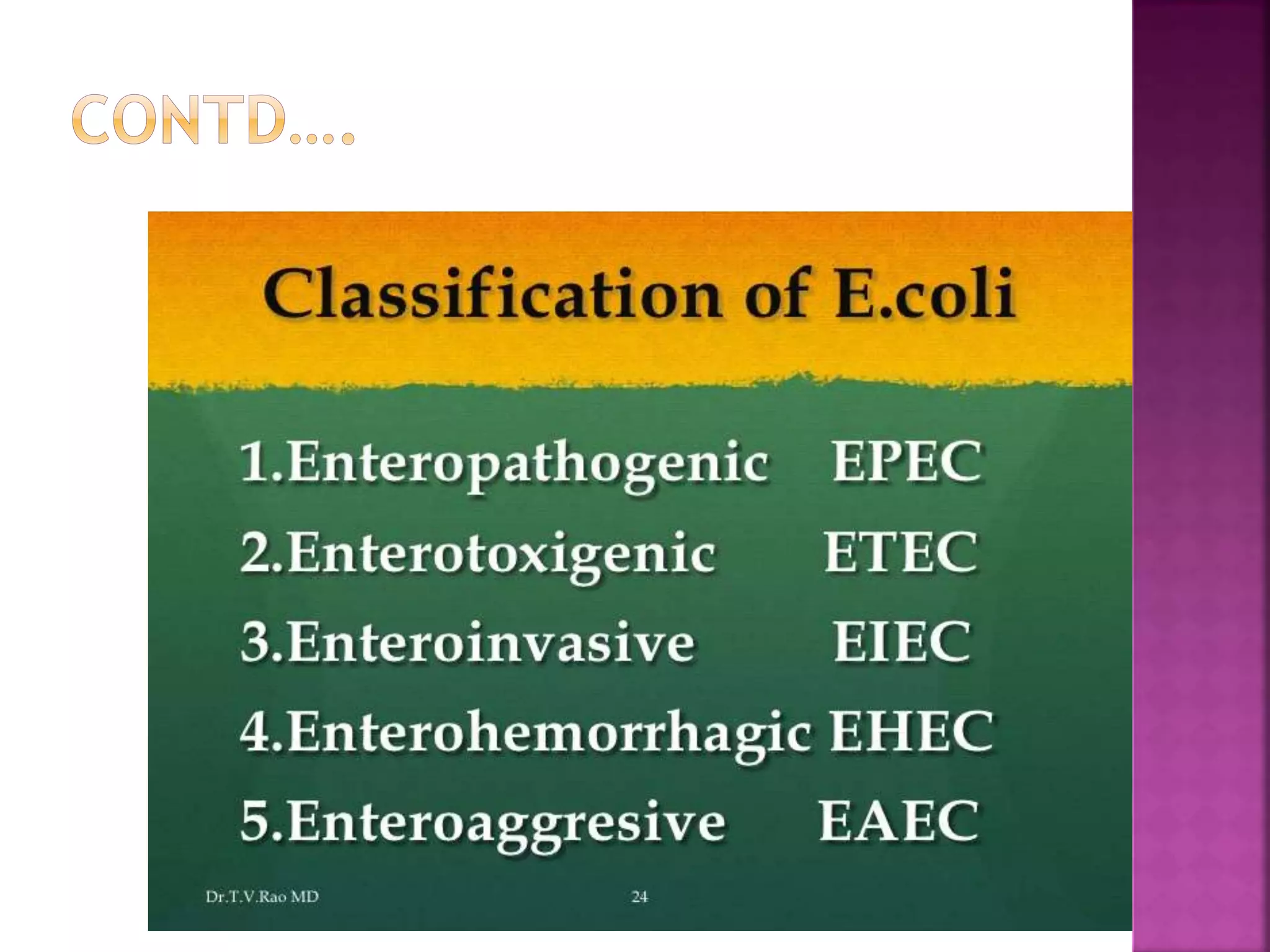 Escherichia coli | PPTX