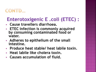 Escherichia coli | PPTX