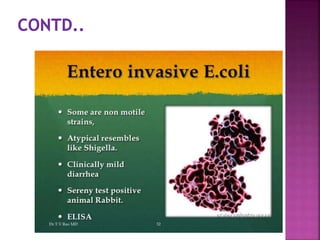 Escherichia coli | PPTX