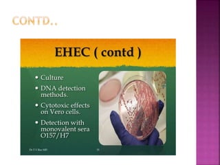 Escherichia coli | PPTX