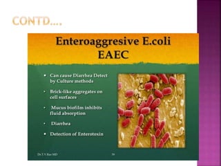 Escherichia coli | PPTX