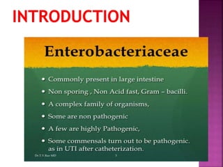 Escherichia coli | PPTX