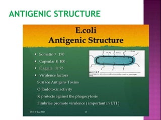 Escherichia coli | PPTX
