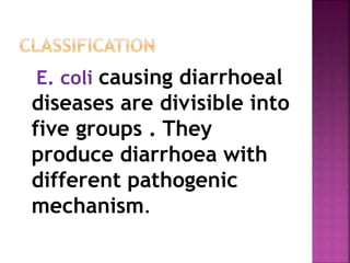 Escherichia coli | PPTX | Digestive Disorders | Diseases and Conditions