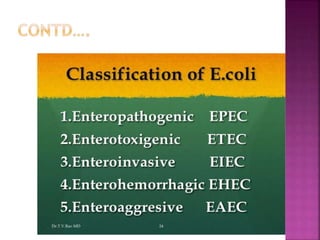 Escherichia coli | PPTX