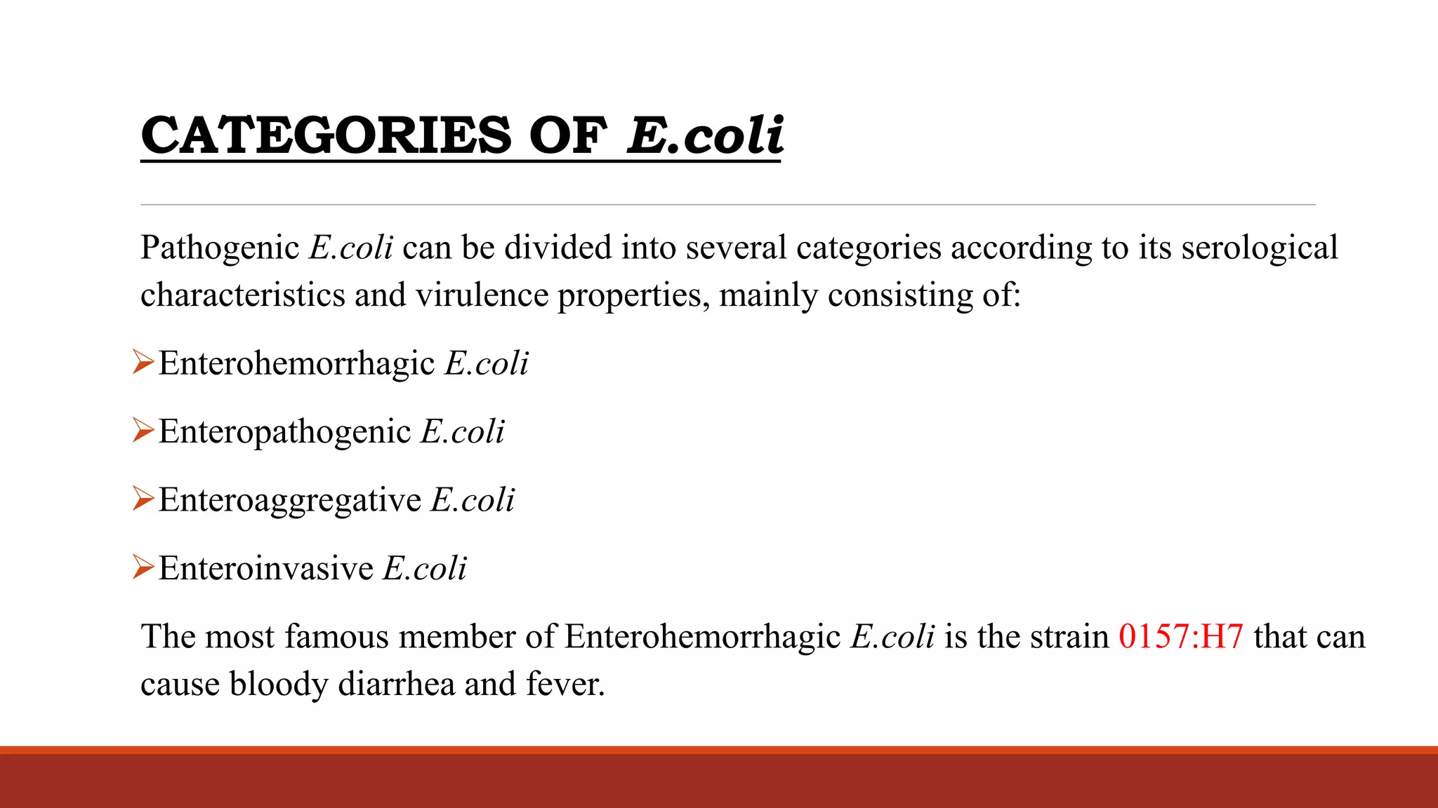 Escherichia coli | PDF