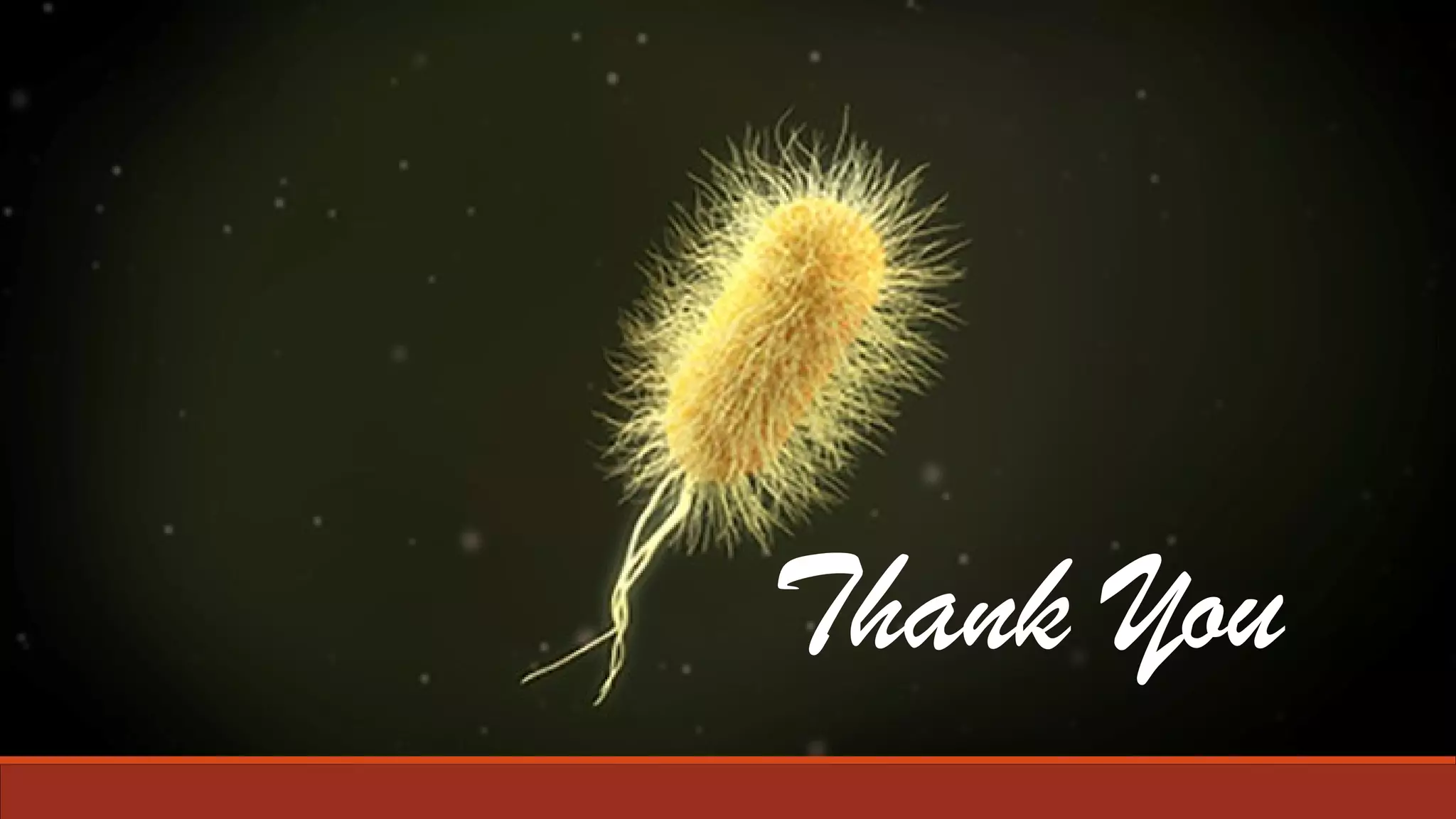 Escherichia coli | PDF