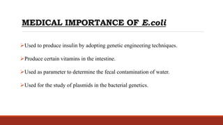 Escherichia coli | PDF