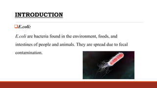 Escherichia coli | PDF