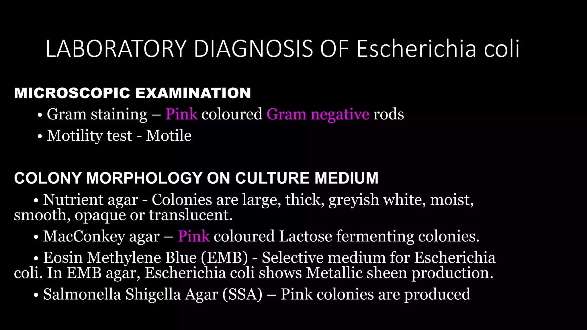 Escherichia coli.pptx