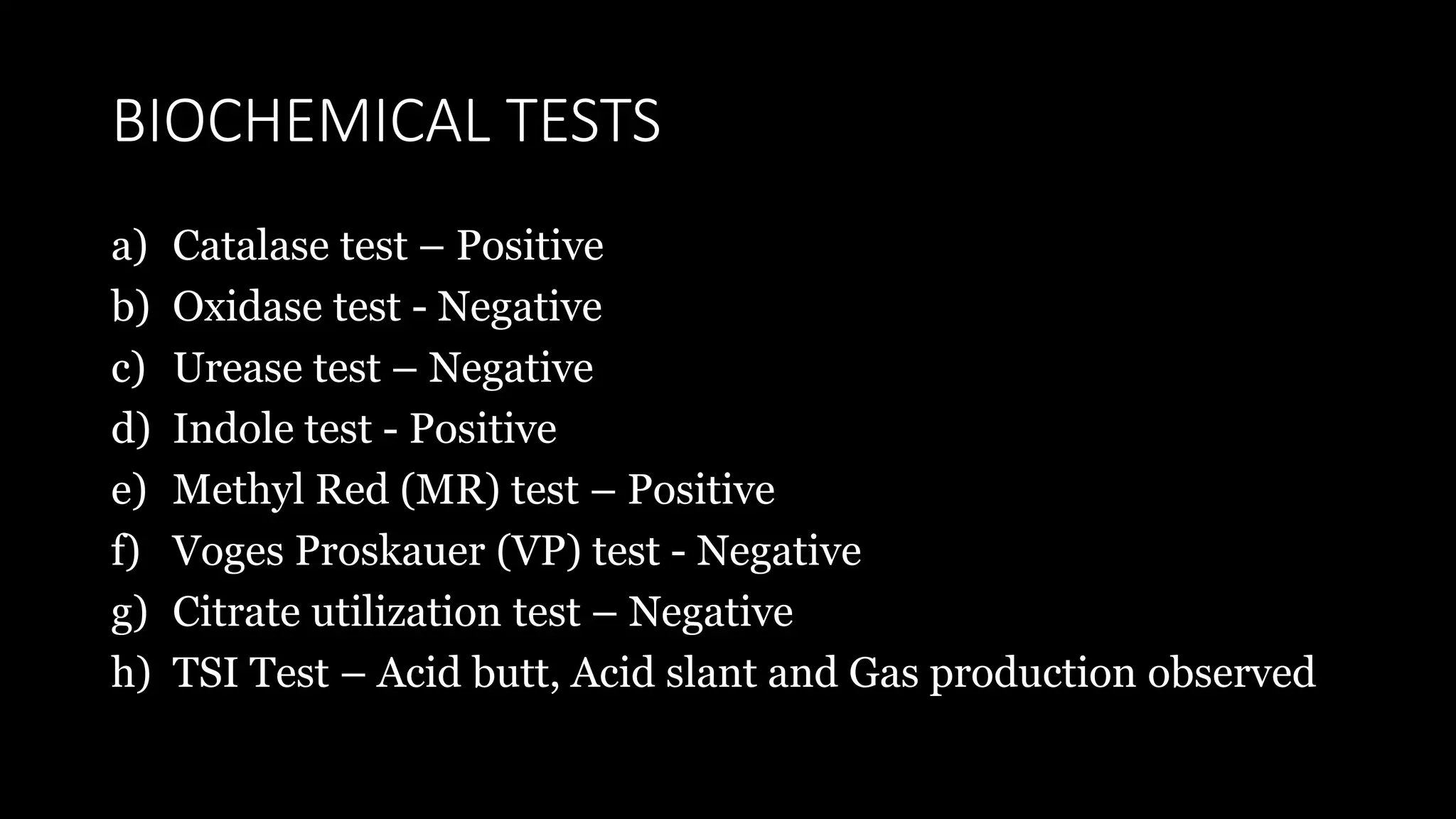 Escherichia coli.pptx