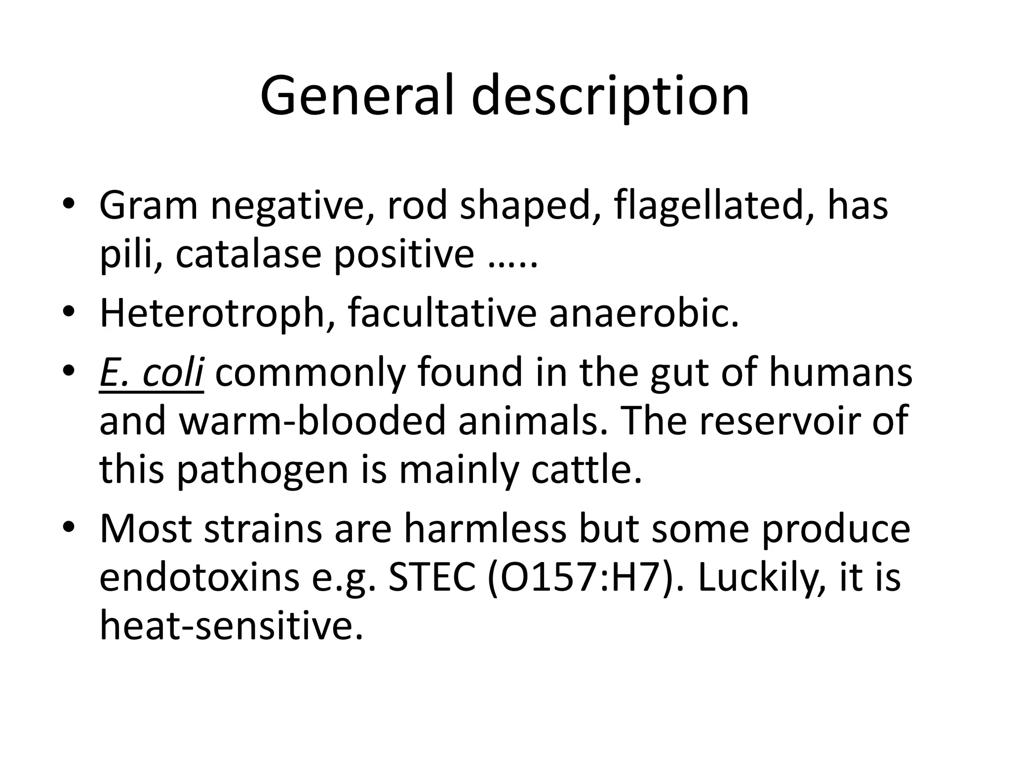 Escherichia coli.pptx
