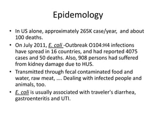 Escherichia coli.pptx