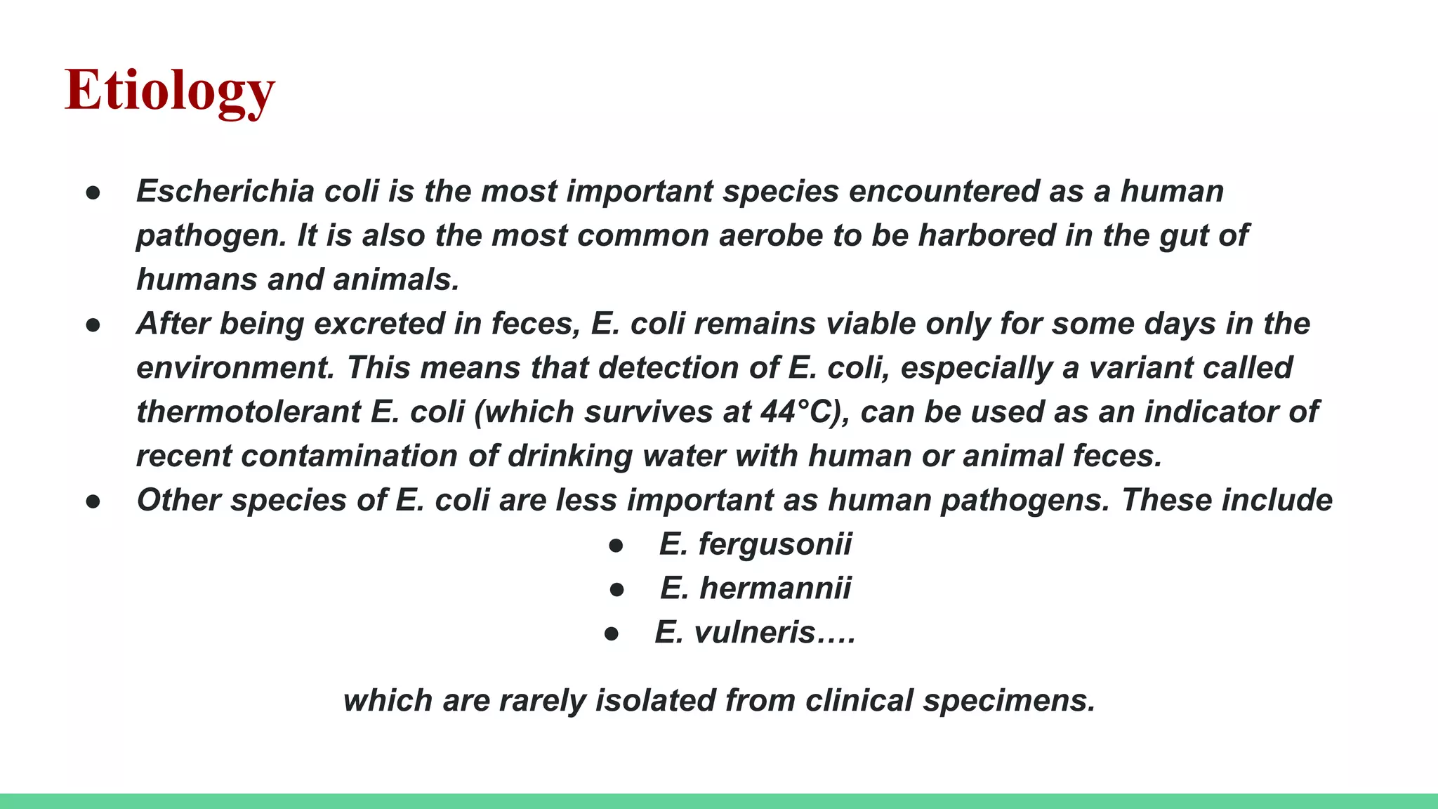 Escherichia coli | PPT