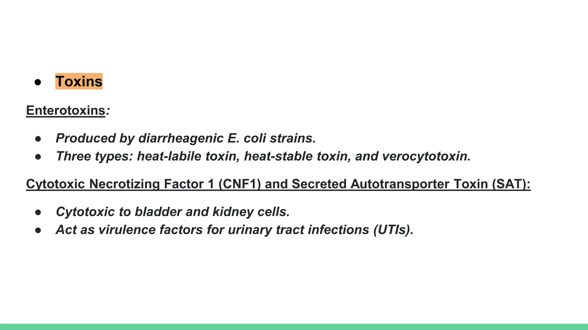 Escherichia coli | PPT