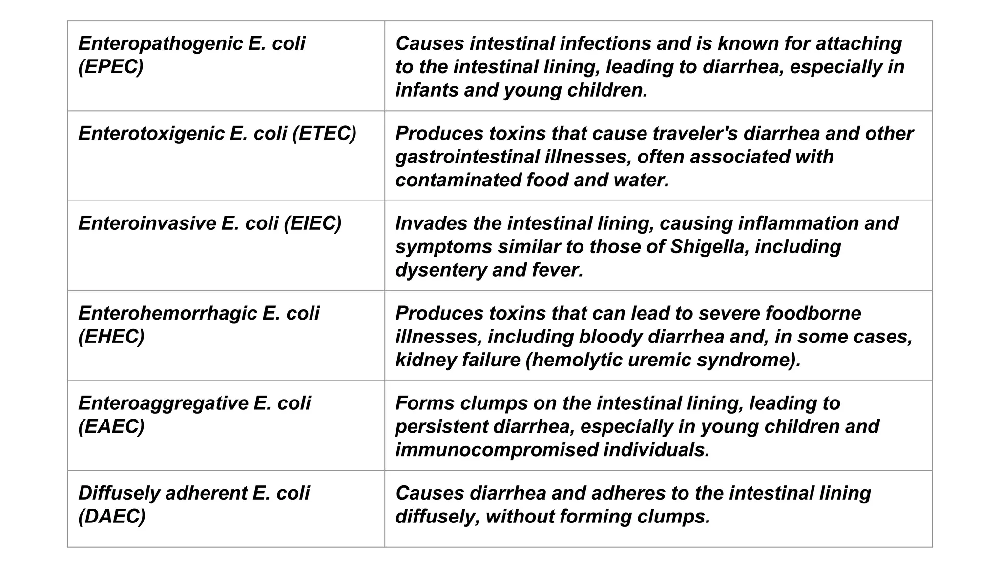 Escherichia coli | PPT