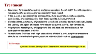Escherichia coli | PPT