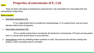 Escherichia coli | PPT