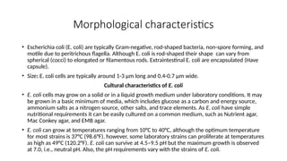Escherichia coli pptx with its morphology | PPTX