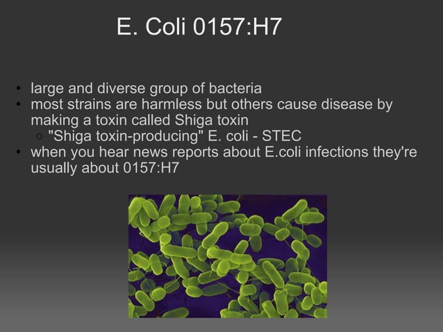 Escherichia Coli 0157 H7 | PPT