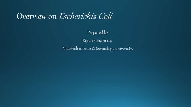 Escherichia coli | PPT