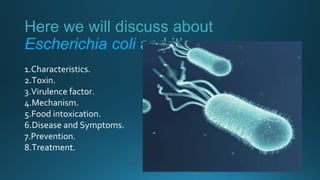 Escherichia coli | PPTX