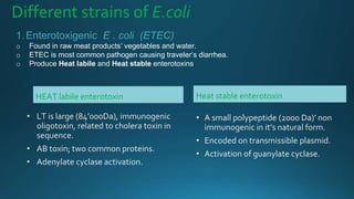 Escherichia coli | PPTX