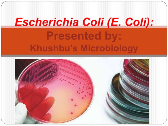 Escherichia coli (e.c oli) | PPTX