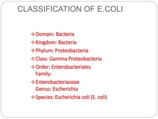 Escherichia coli (e.c oli) | PPTX