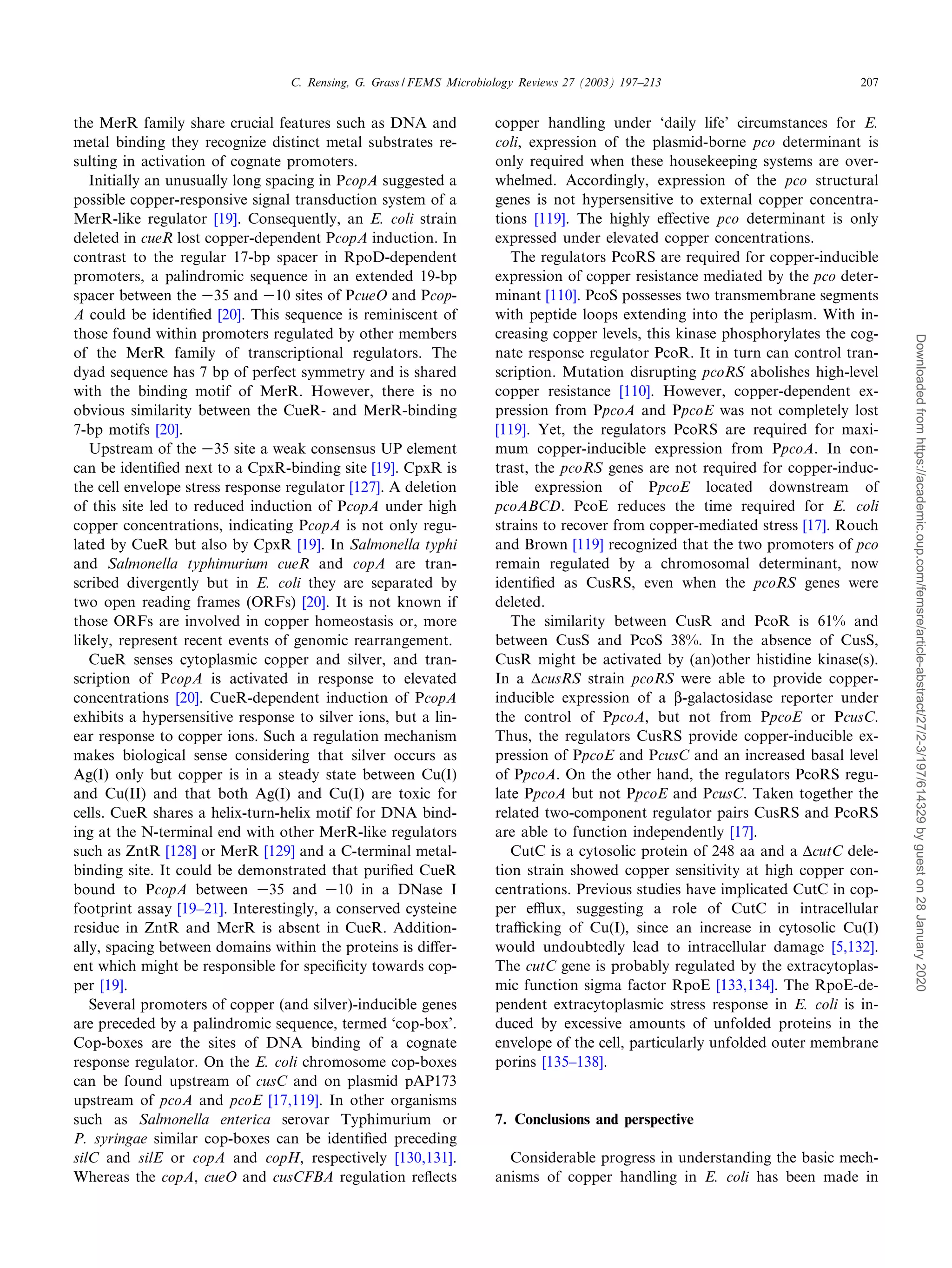 Escherichia coli mechanisms of copper homeostasis in a changing ...