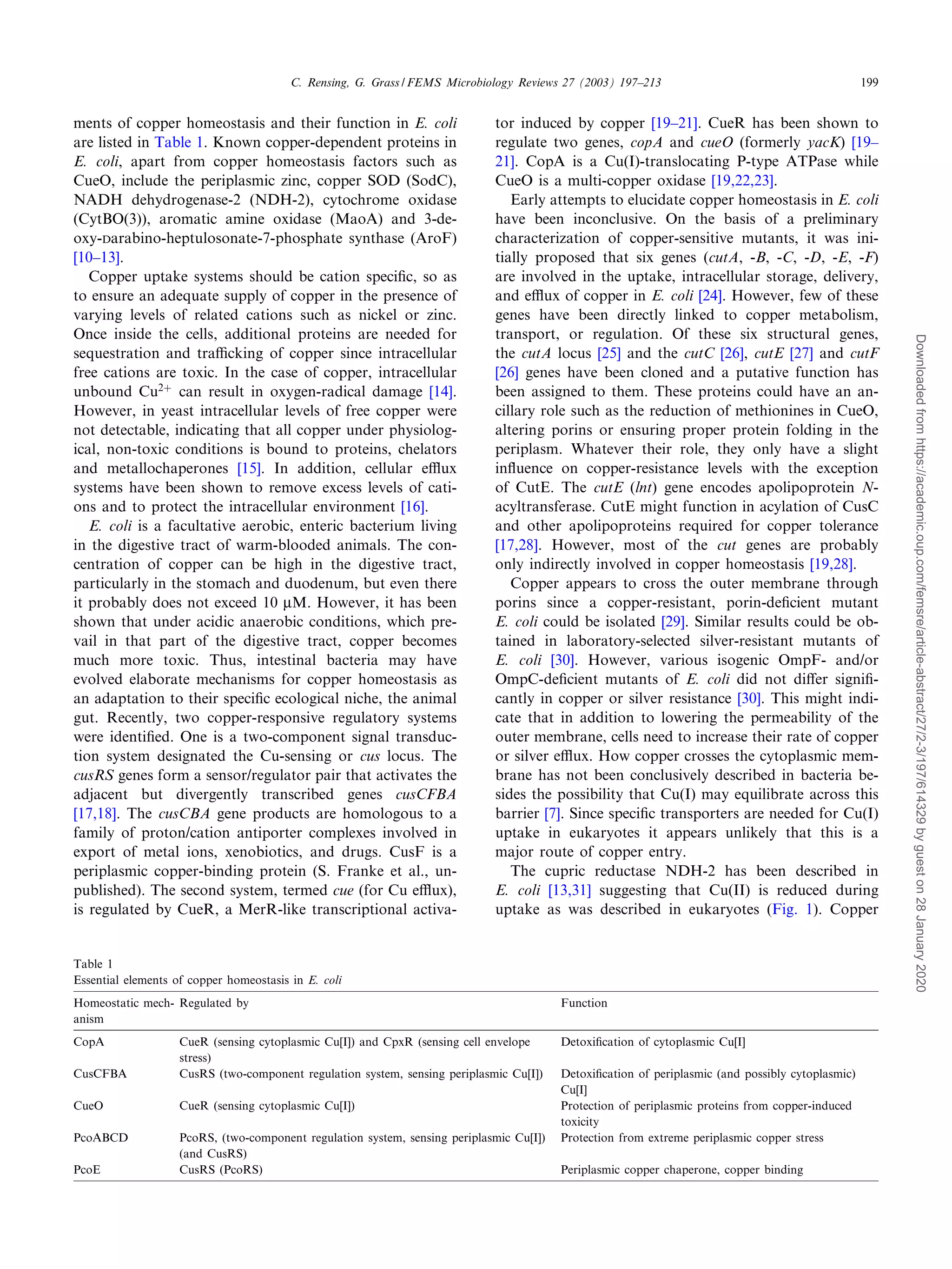 Escherichia coli mechanisms of copper homeostasis in a changing environmen | PDF