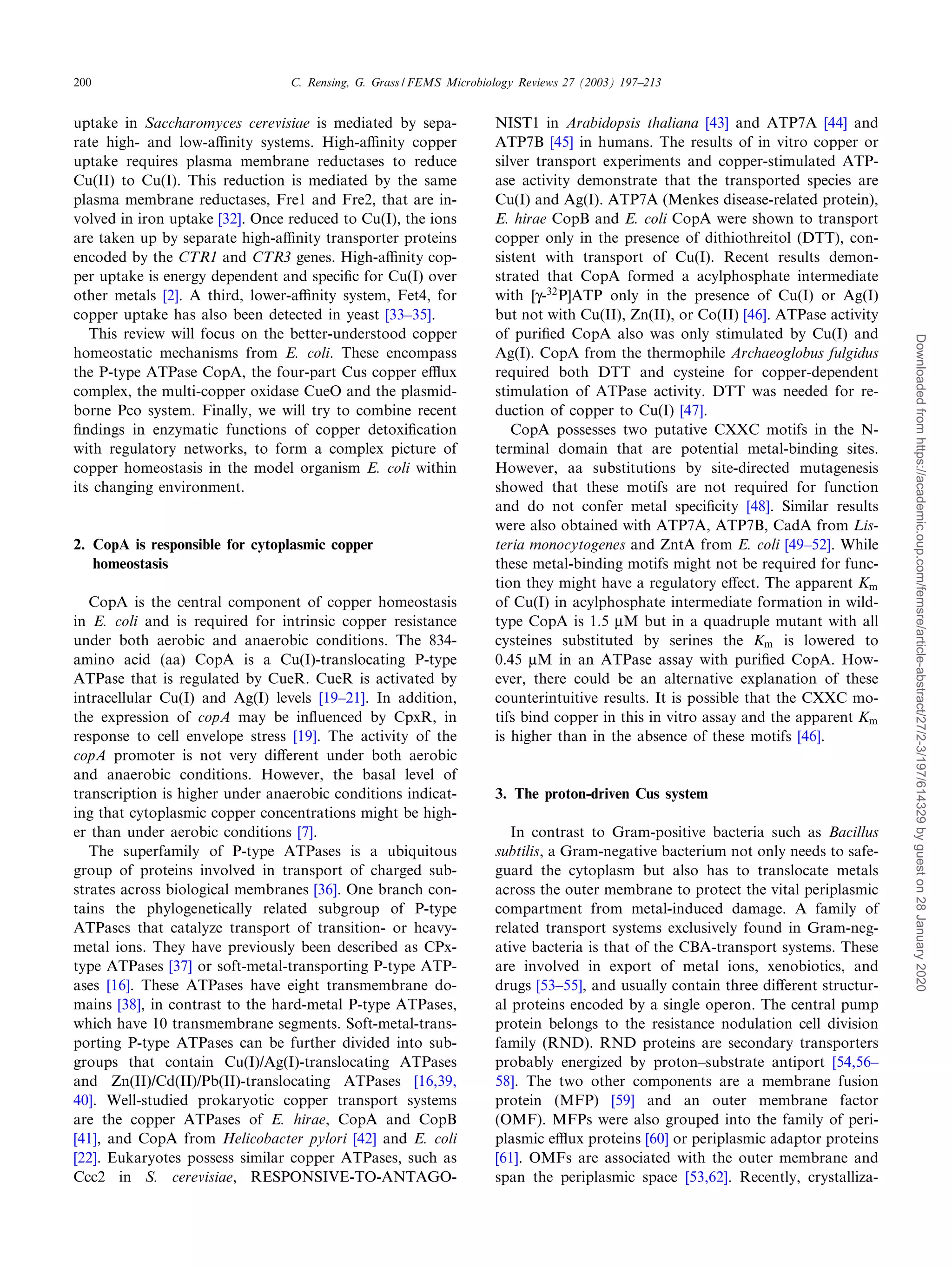 Escherichia coli mechanisms of copper homeostasis in a changing ...