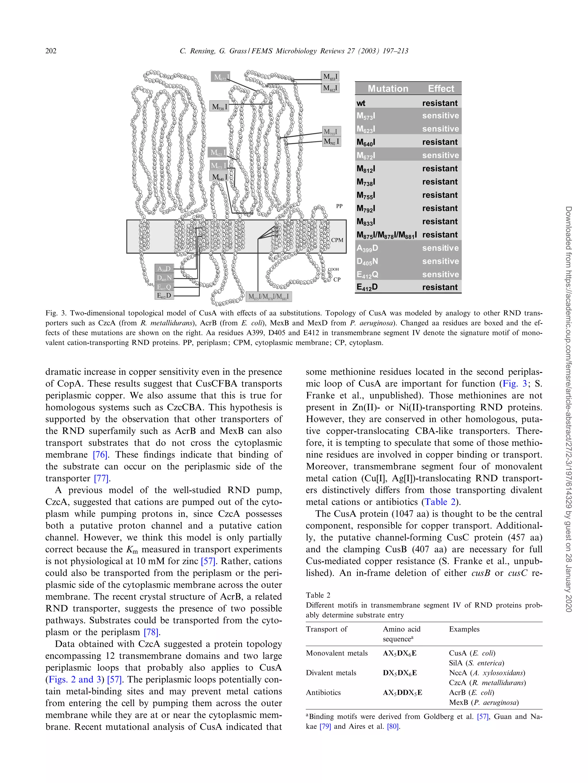 Escherichia coli mechanisms of copper homeostasis in a changing ...