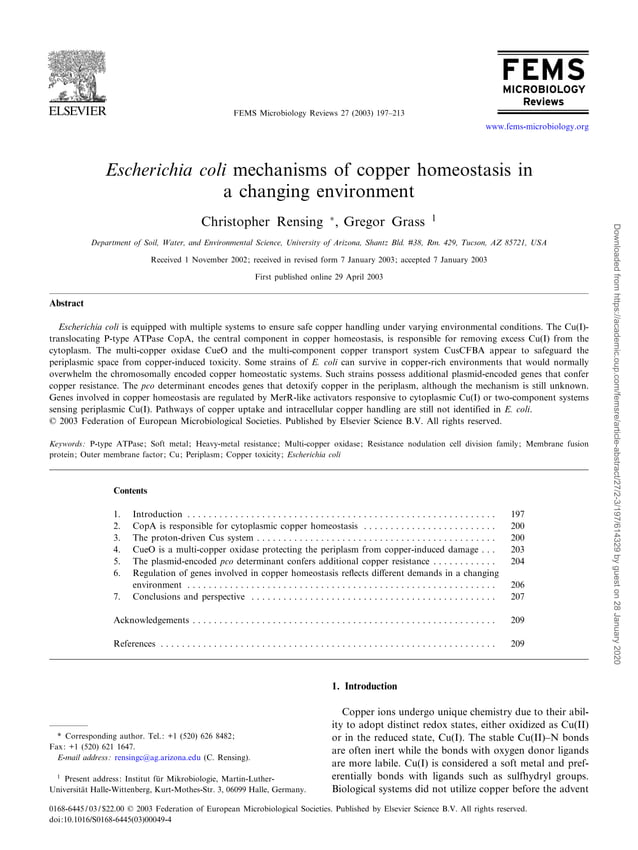 Escherichia coli mechanisms of copper homeostasis in a changing ...
