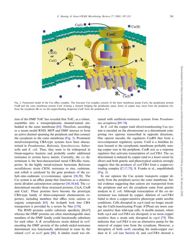 Escherichia coli mechanisms of copper homeostasis in a changing ...