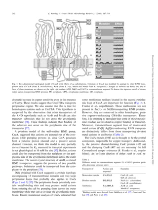 Escherichia coli mechanisms of copper homeostasis in a changing ...