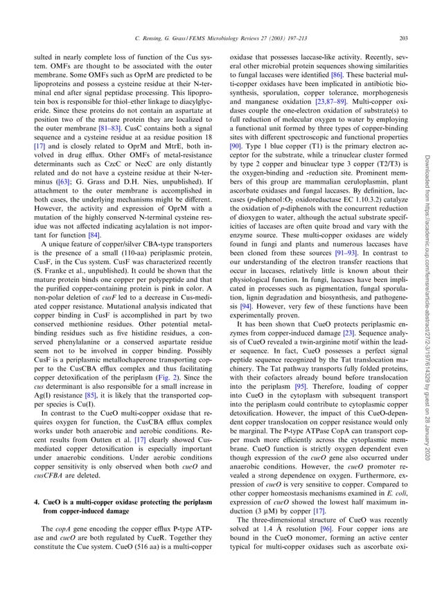 Escherichia coli mechanisms of copper homeostasis in a changing ...