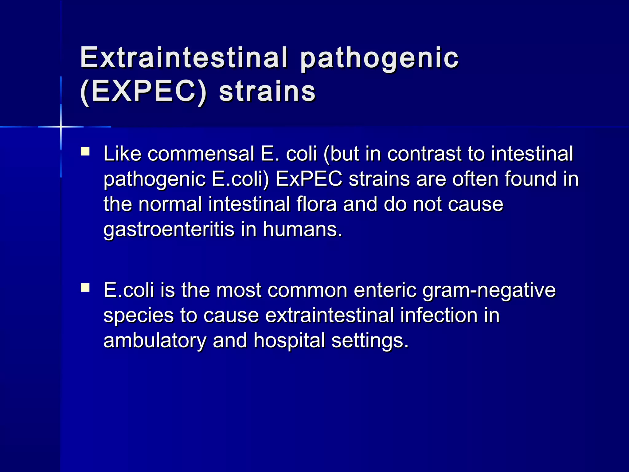 Escherichiosis | PPT