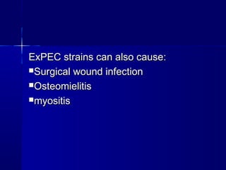 Escherichiosis | PPT