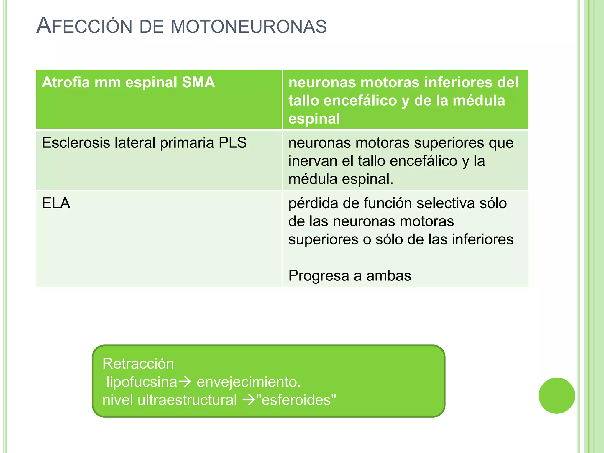 Esclerosis lateral amiotrofica | PPTX | Brain and Nervous System ...