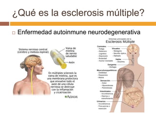 Esclerosis multiple, diagnóstico y pronóstico inmunoquímico | PPTX