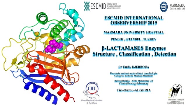 beta lactamases : structure , classification and investigations | PDF ...