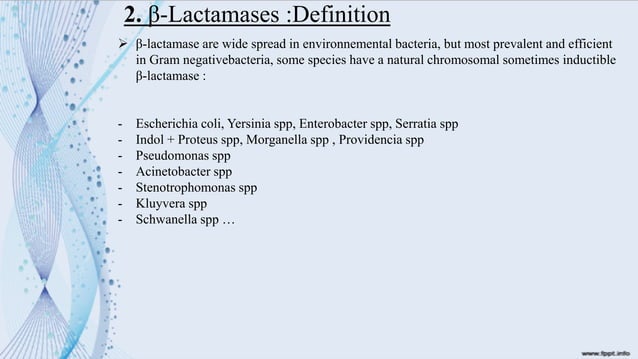 beta lactamases : structure , classification and investigations | PDF ...