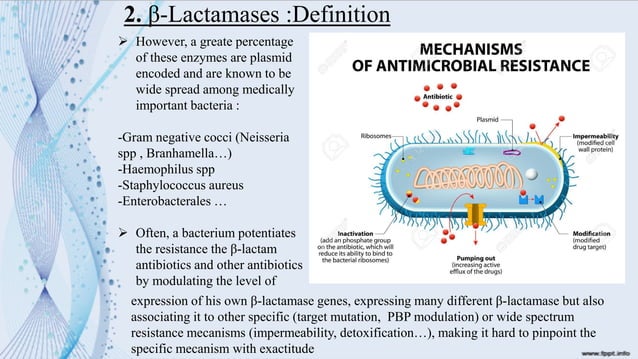 beta lactamases : structure , classification and investigations | PDF ...