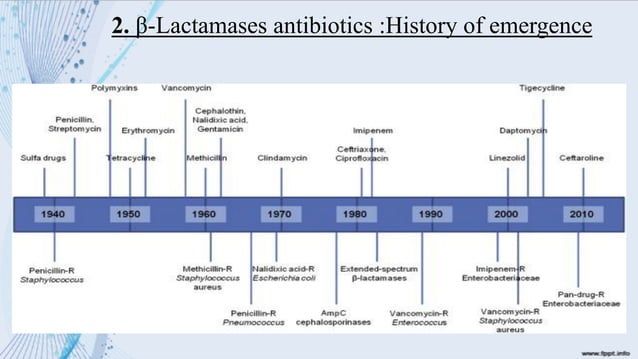 beta lactamases : structure , classification and investigations | PDF ...