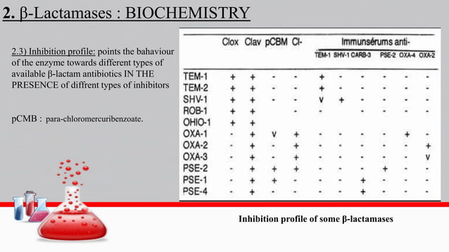 beta lactamases : structure , classification and investigations | PDF ...