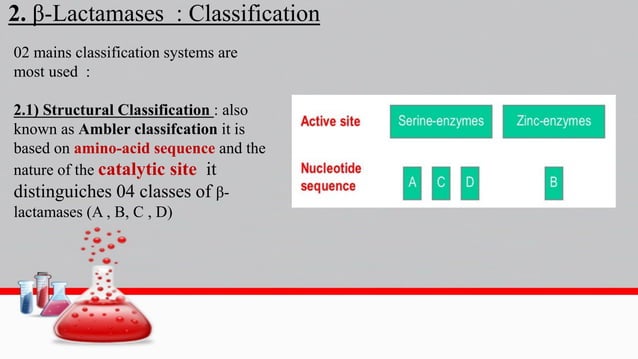 beta lactamases : structure , classification and investigations | PDF ...
